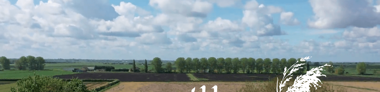 Oxwillow - the changing nature of farming in the Fens - East ...